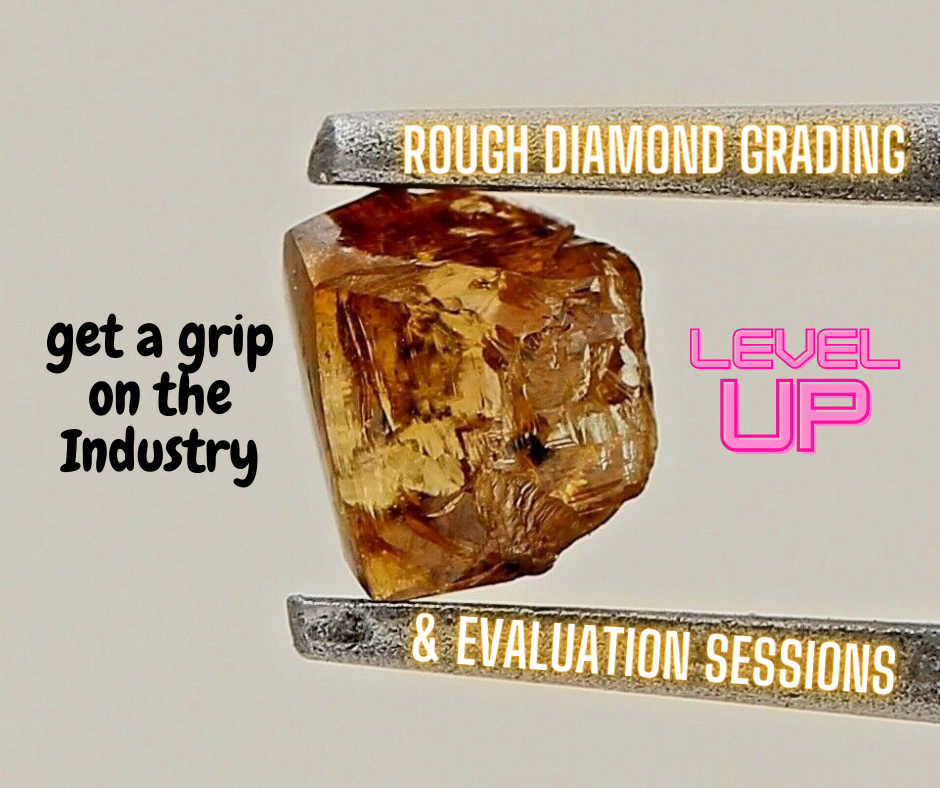 Rough Diamond Evaluation Course Corlia Roberts | Diamond Education