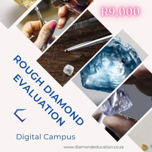 Diamond Education and Rough Diamond Courses